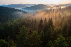 Exergy3 - Decarbonising Industry with Cheaper & Greener Energy