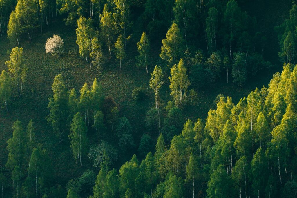 About - Exergy3 - Decarbonising Industry with Cheaper & Greener Energy