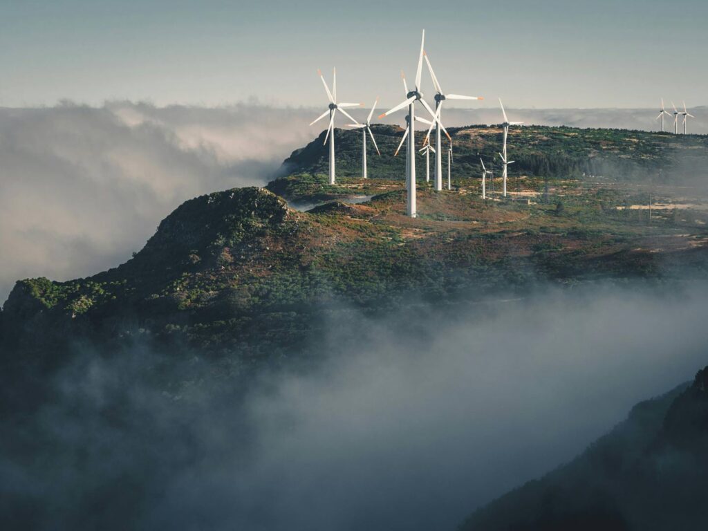 Case Studies Archive - Exergy3